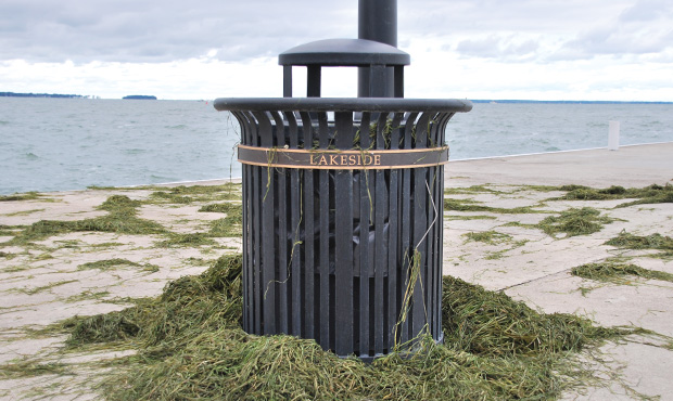 Love Letter To Litter Receptacles | Keystone Ridge Designs